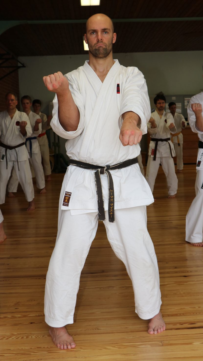 Train traditional karate – apply it for todays needs! – Okinawa Goju ...