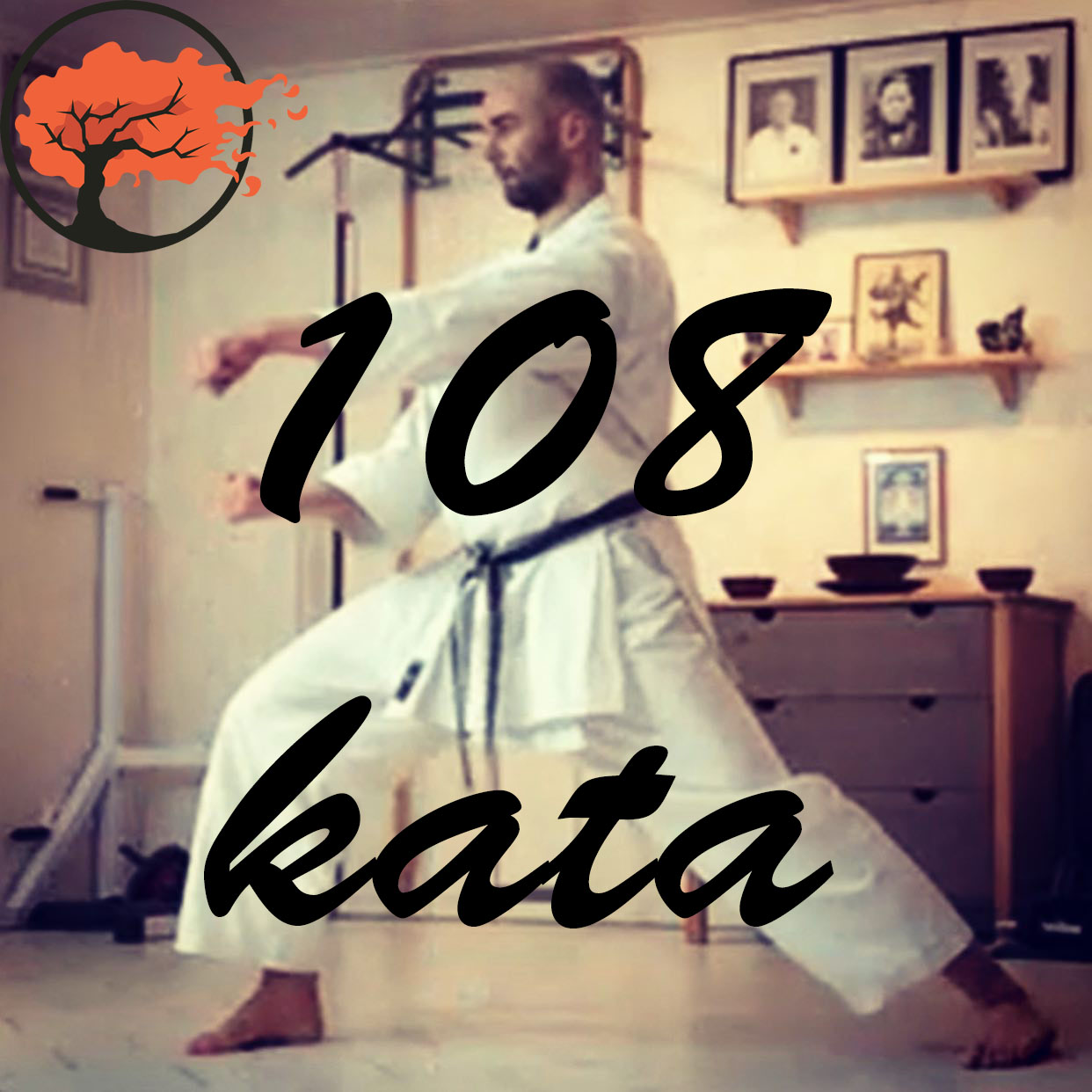9 points to embody if you want to make the most of your 108 kata ...